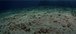 General Oceans | Empowering the Blue Economy Through Advanced Ocean…